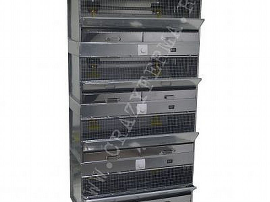 Брудер для цыплят