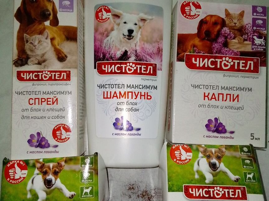 Для собак