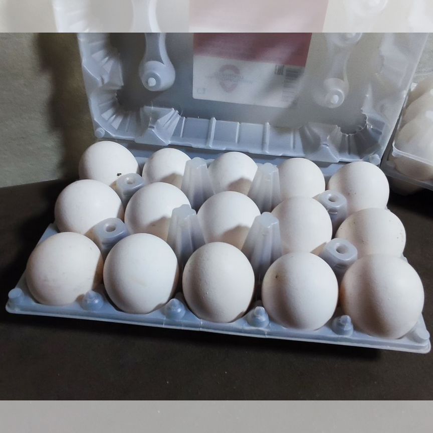 Яйцо домашнее