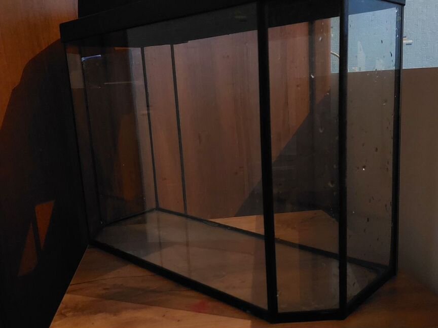 Аквариум / Террариум