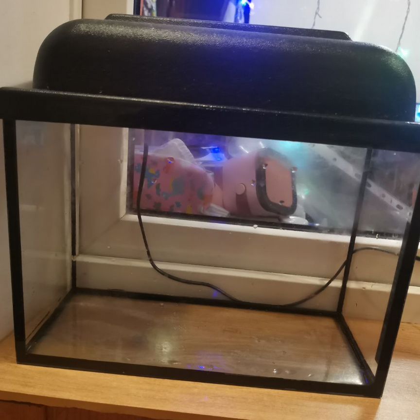 Аквариум для рыбок 10 л с крышкой