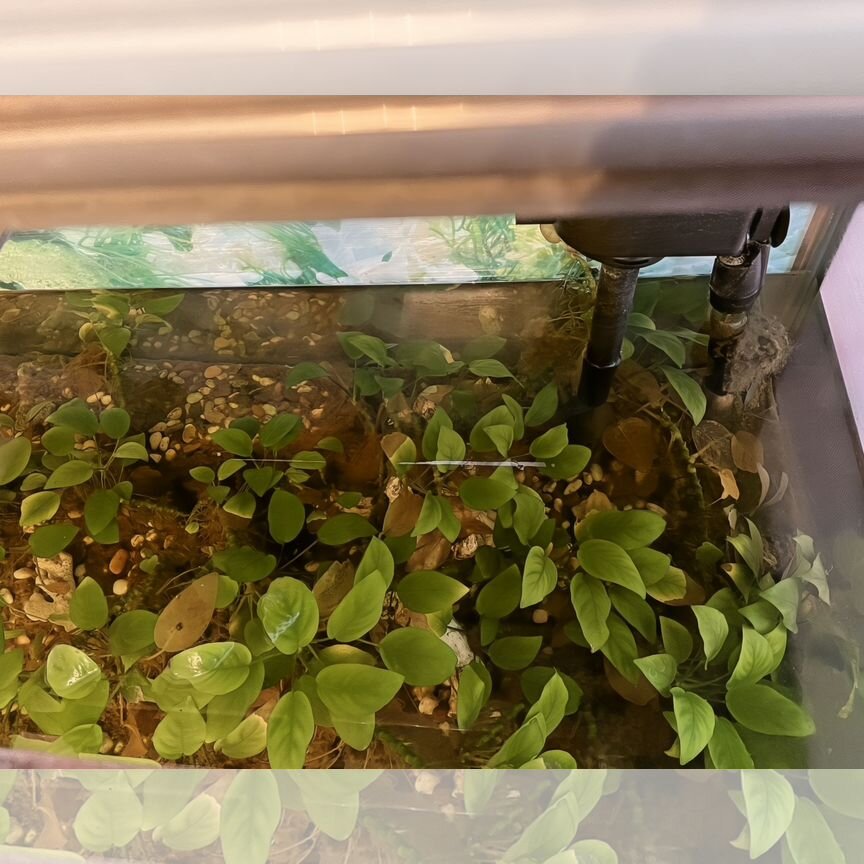 Аквариум с тумбой jebo