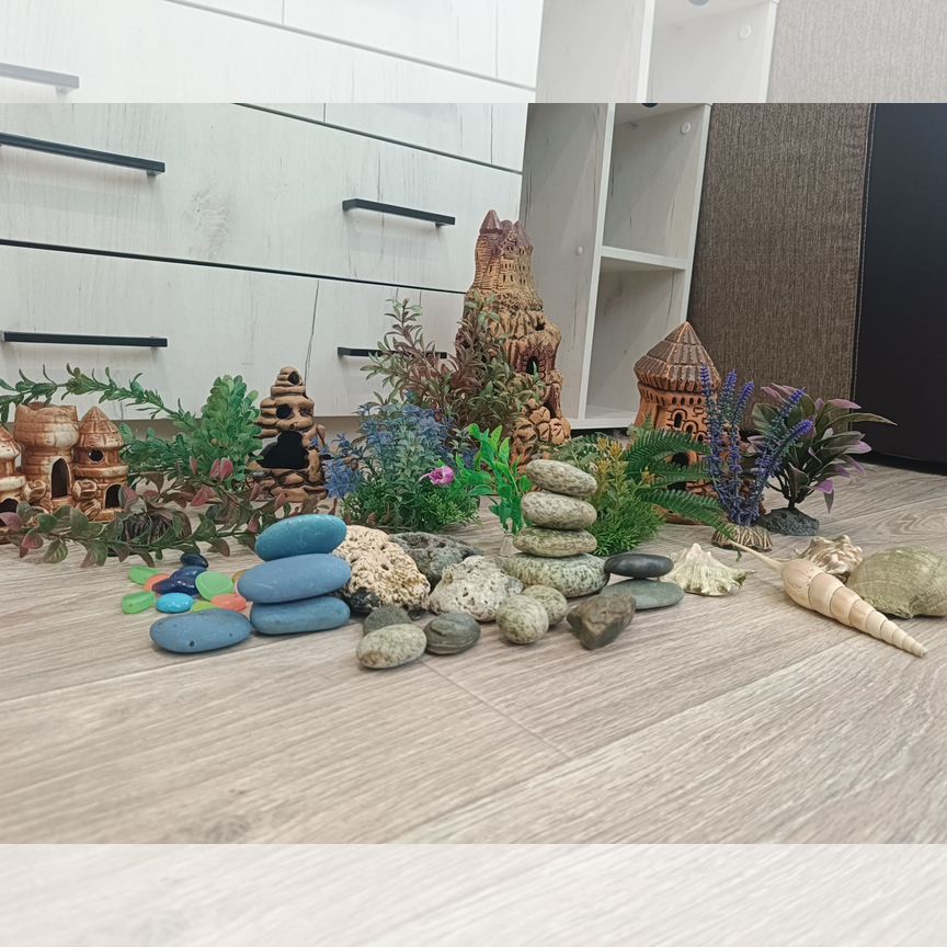 Для аквариума