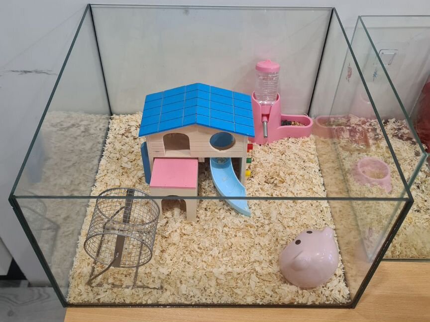 Аквариум, домик для хомячка
