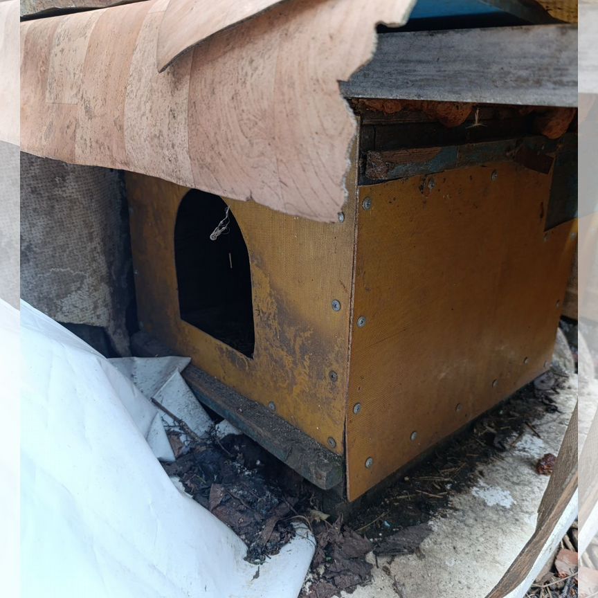 Будка для собаки