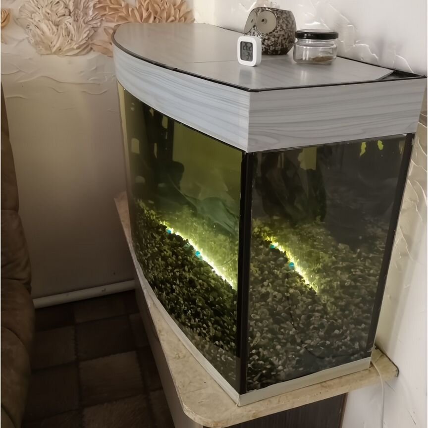 Аквариум с рыбками