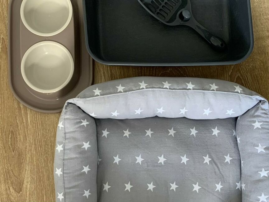 Лоток, лежанка и миски для котят