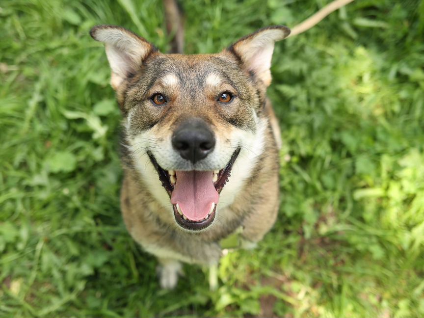 Дайте Челси шанс на счастье