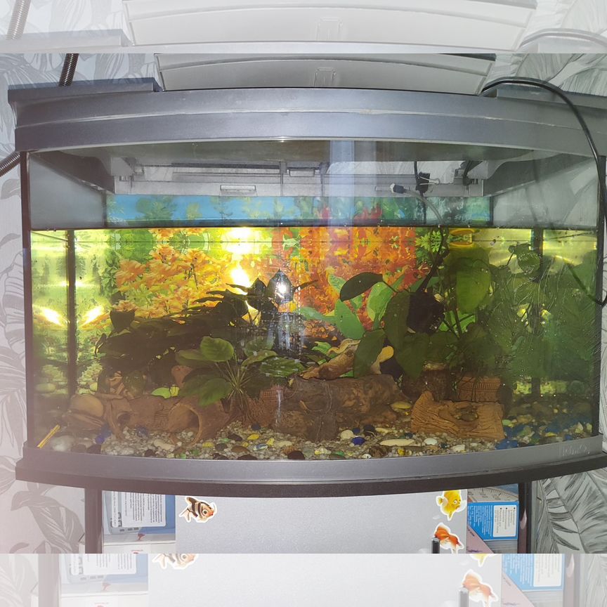 Аквариум для рыбок 100 л