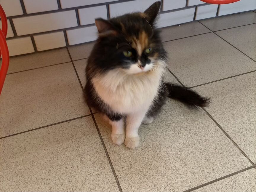 Потерялась