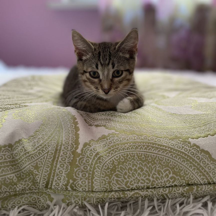 Хороший мальчик Митя