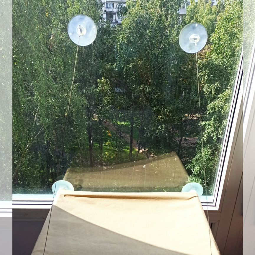Гамак для котейки