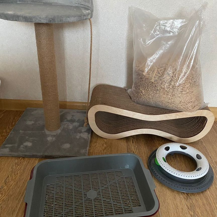 Новые предметы для котика