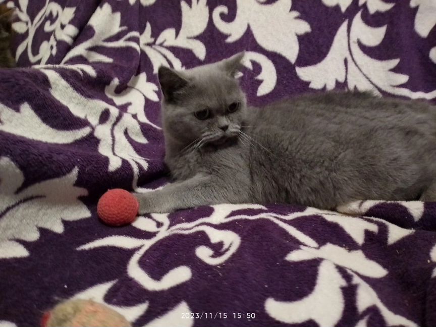 Жози изет хорошие руки