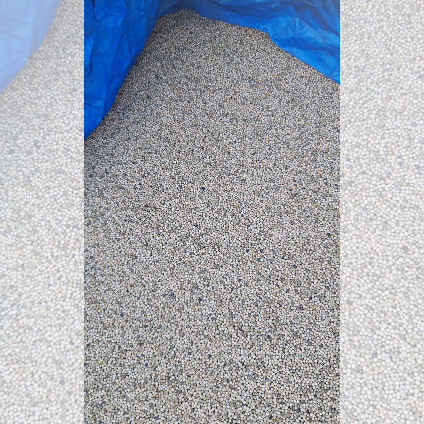 Горох кормовой