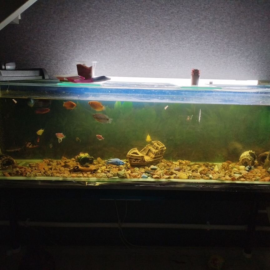 Продаю аквариум на 340 литров