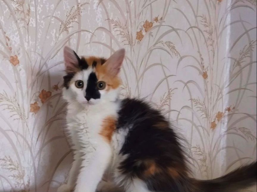 Афродита 2 месяца