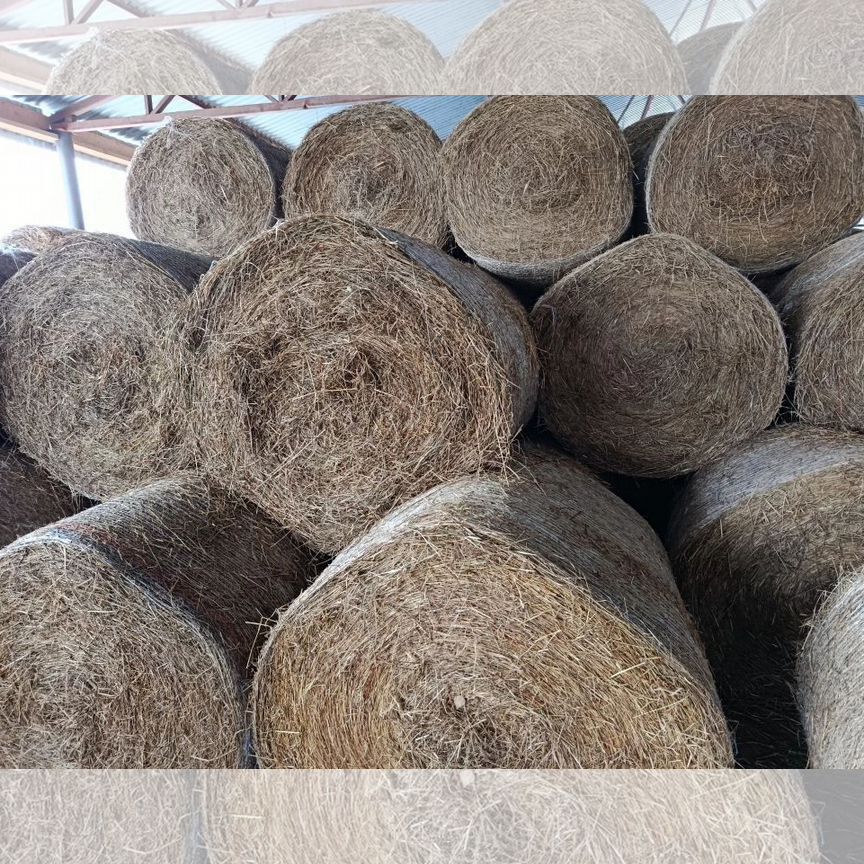 Сено в тюках