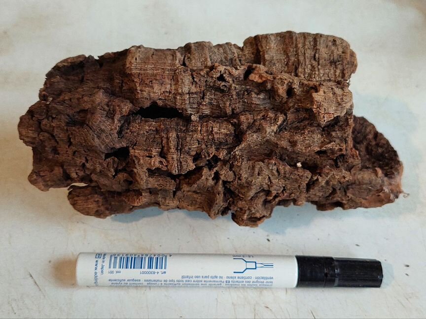 Кора пробкового дуба