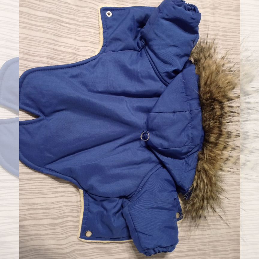 Одежда для собак