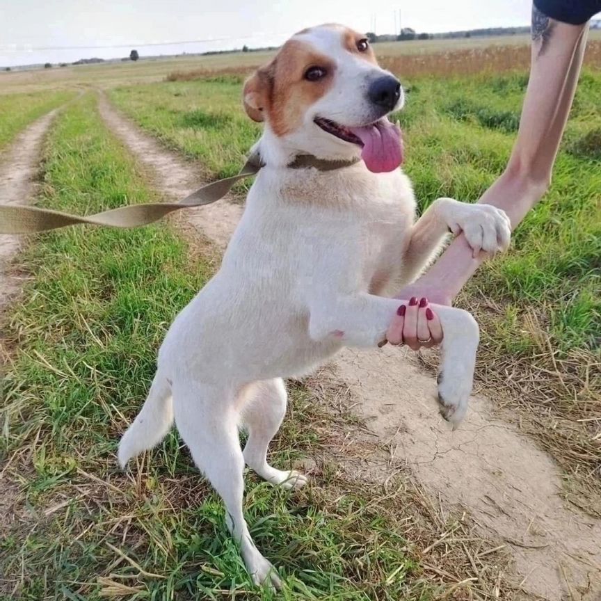Малибу