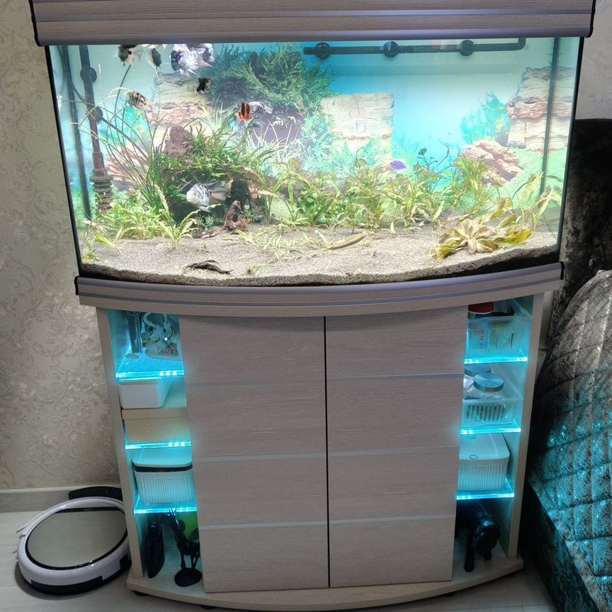 Аквариум с тумбой Биодизайн