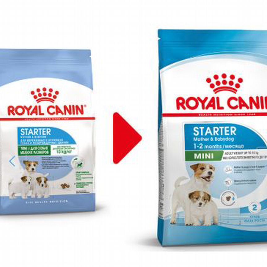 Корм для щенков Royal Canin Mini Starter 1 кг