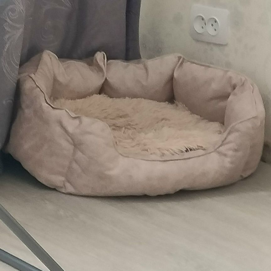 Лежанка для кошек бу