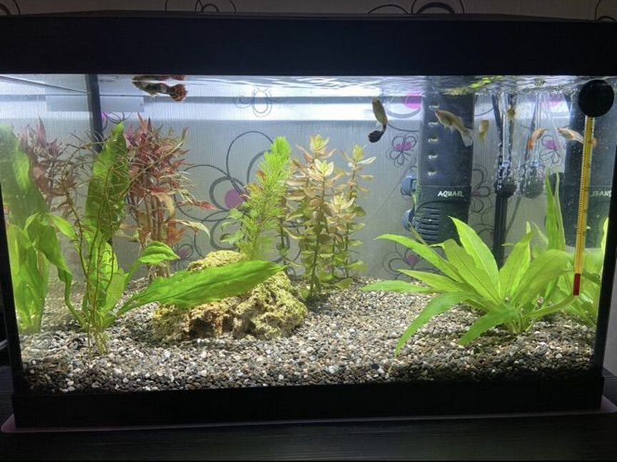 Аквариум aquael leddy 30