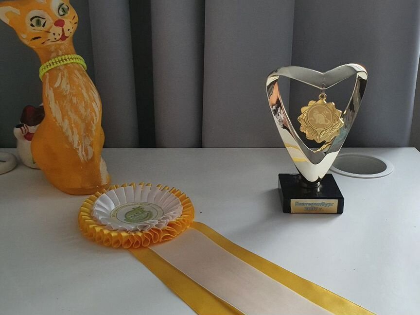 Награды для кошек с выставок CAC, cacib и прочее