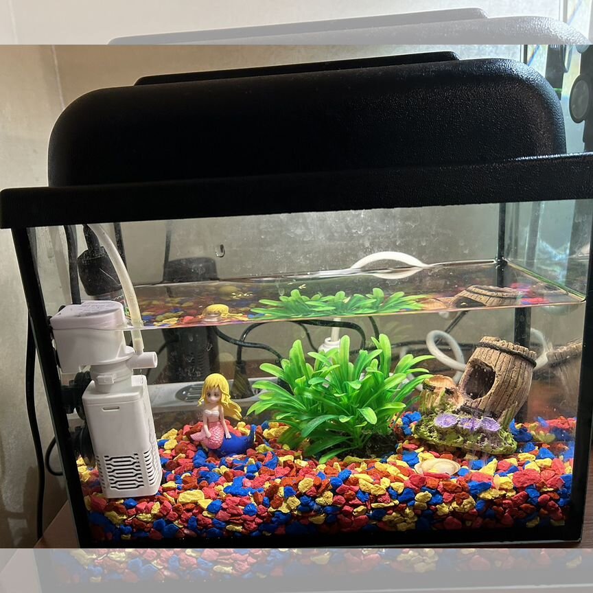 Аквариум с грунтом и декорацией