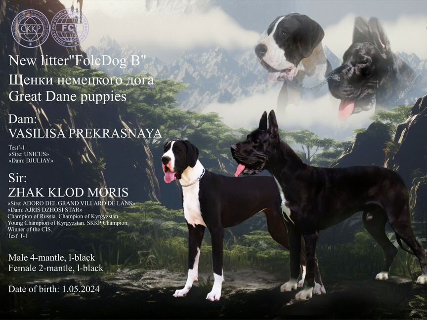 Немецкий дог