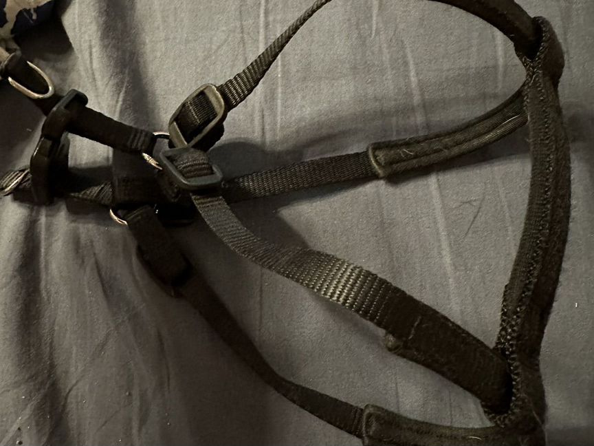 Шлейка для собаки