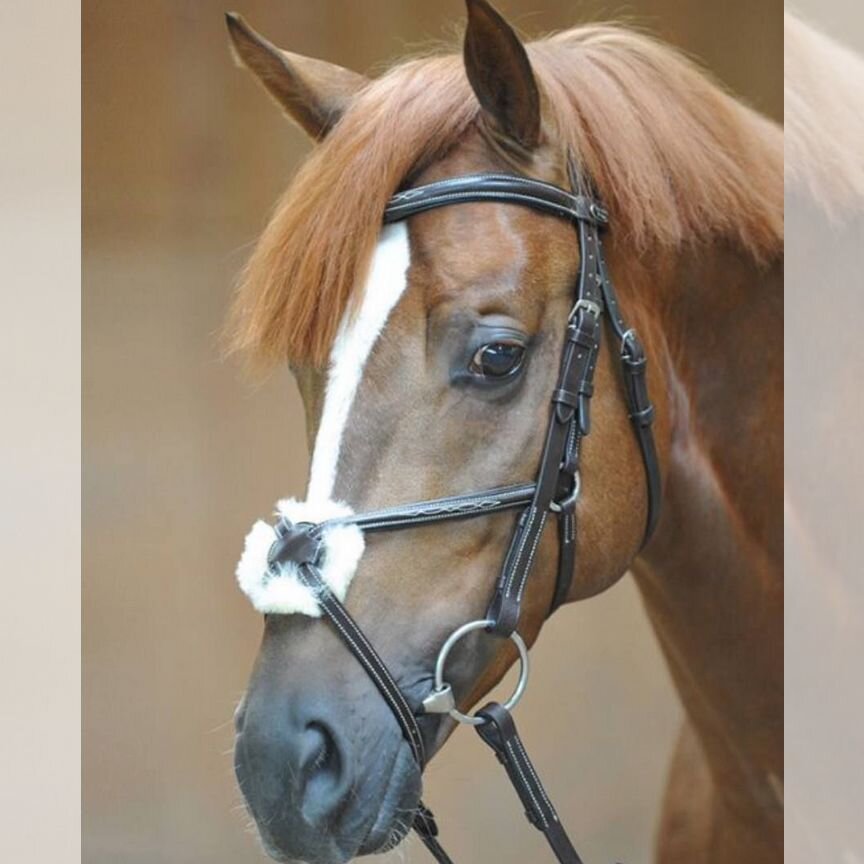 Уздечка темно-коричневая bridle diandro, kavalkade