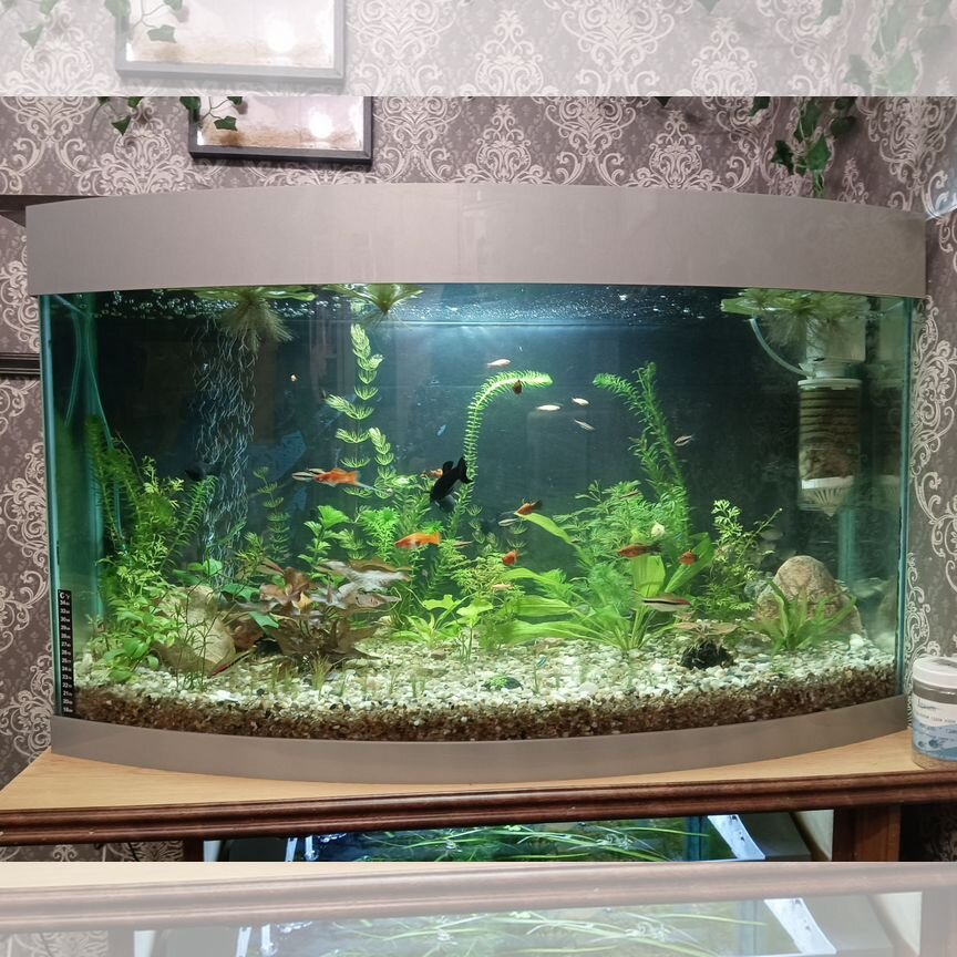 Аквариум панорамный 160 л.(Обмен на больший объём)