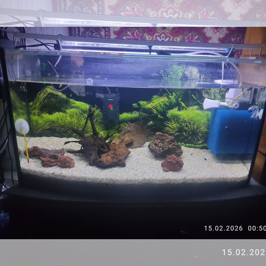 Аквариум 100 литров панорамное стекло aquael