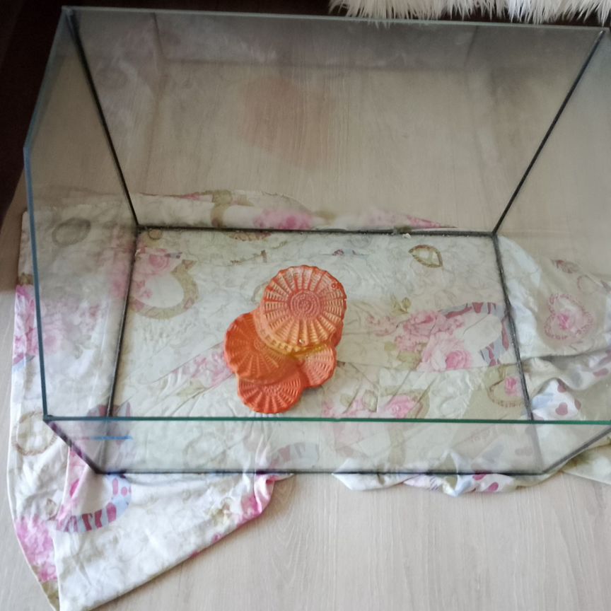 Большой аквариум