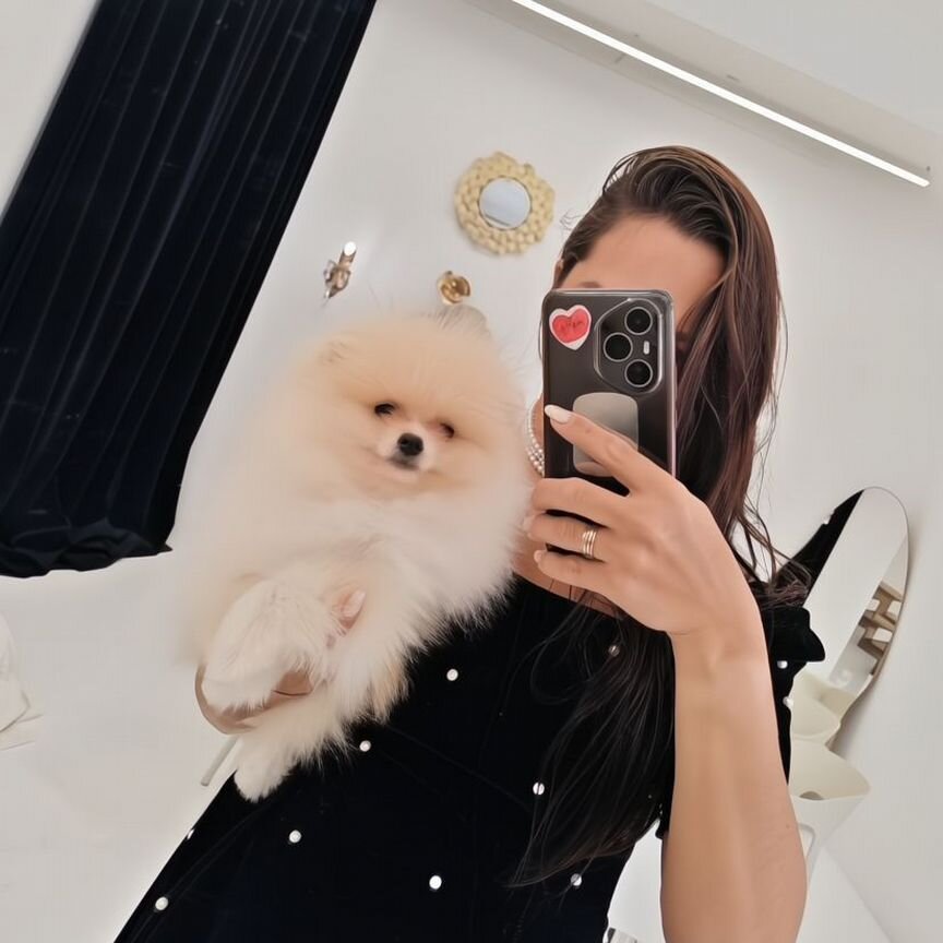 Померанский шпиц, щенок