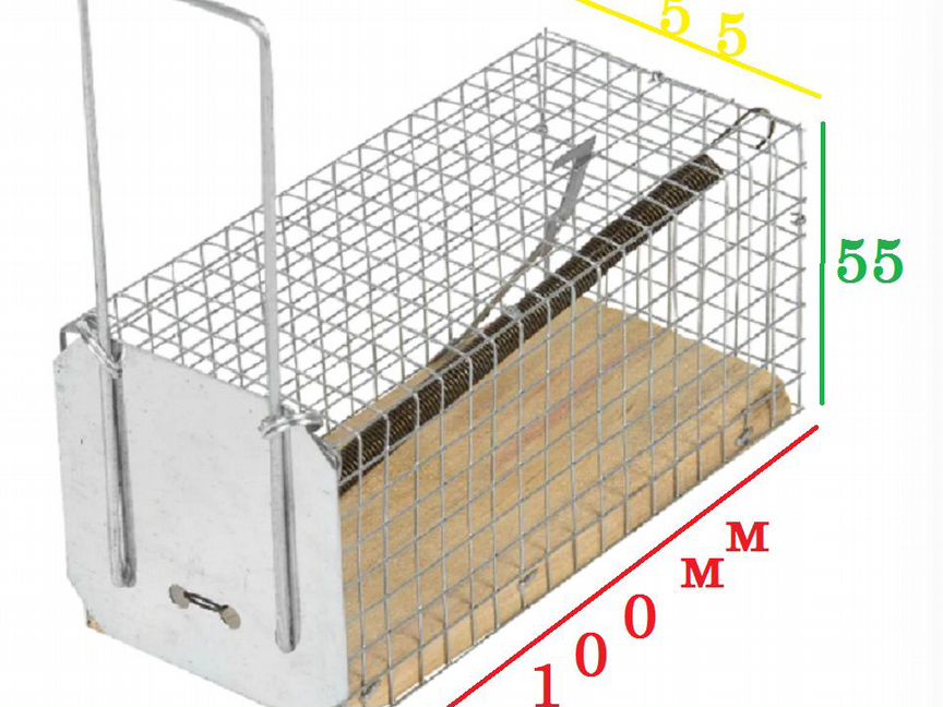Гуманная мышеловка