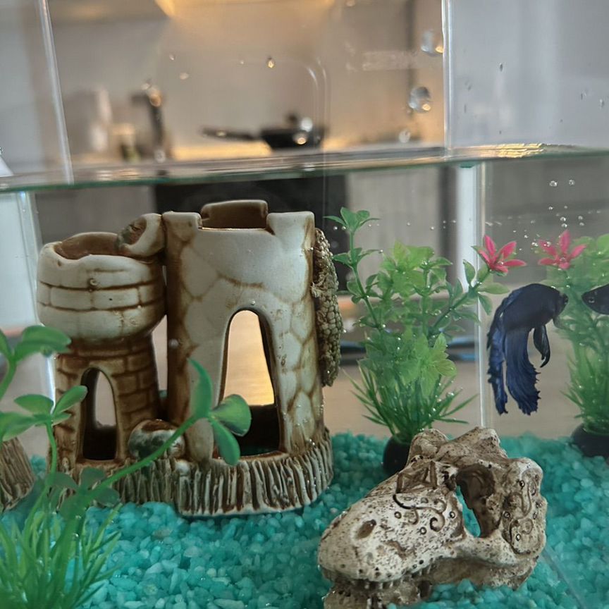 Аквариум 3-5 литров