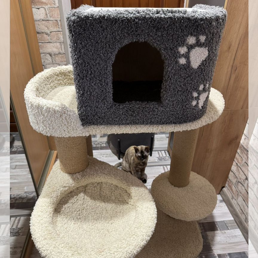 Когтеточка и домик