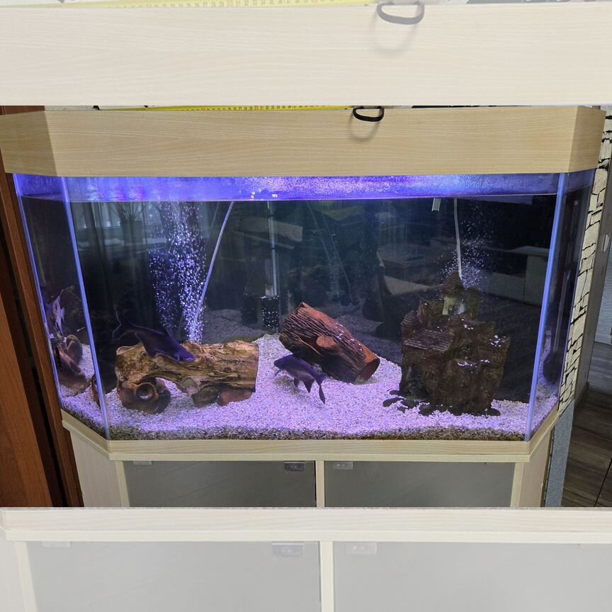 Аквариум с тумбой 250 литров