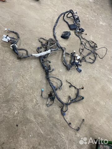 Проводка моторного отсека Nissan Skyline V35 купить в Москве NISSAN ...