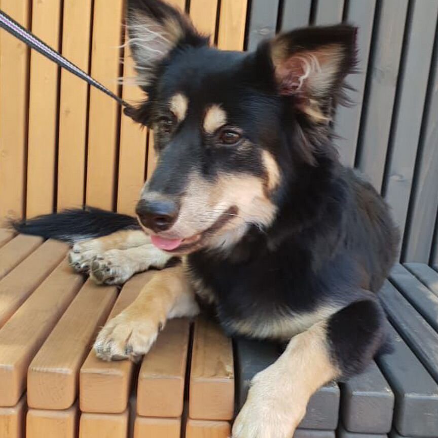 Мам, ты заберешь меня домой