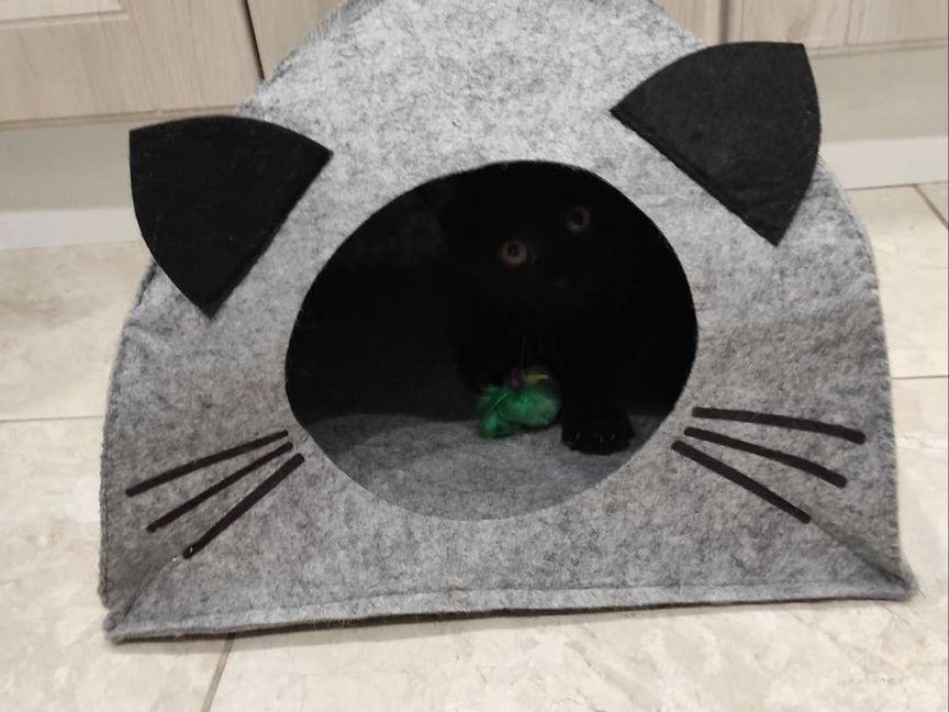 Домик для кошки