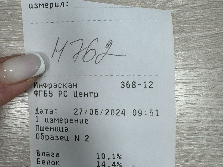 Зерно пшеница 3 класс