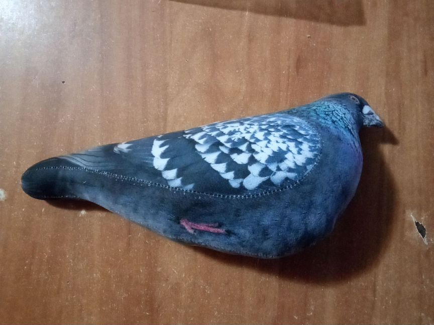 Голуби
