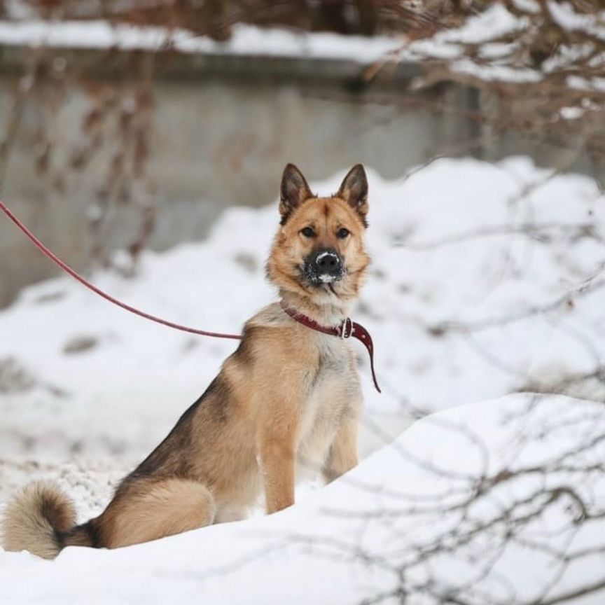 Джек ищет семью