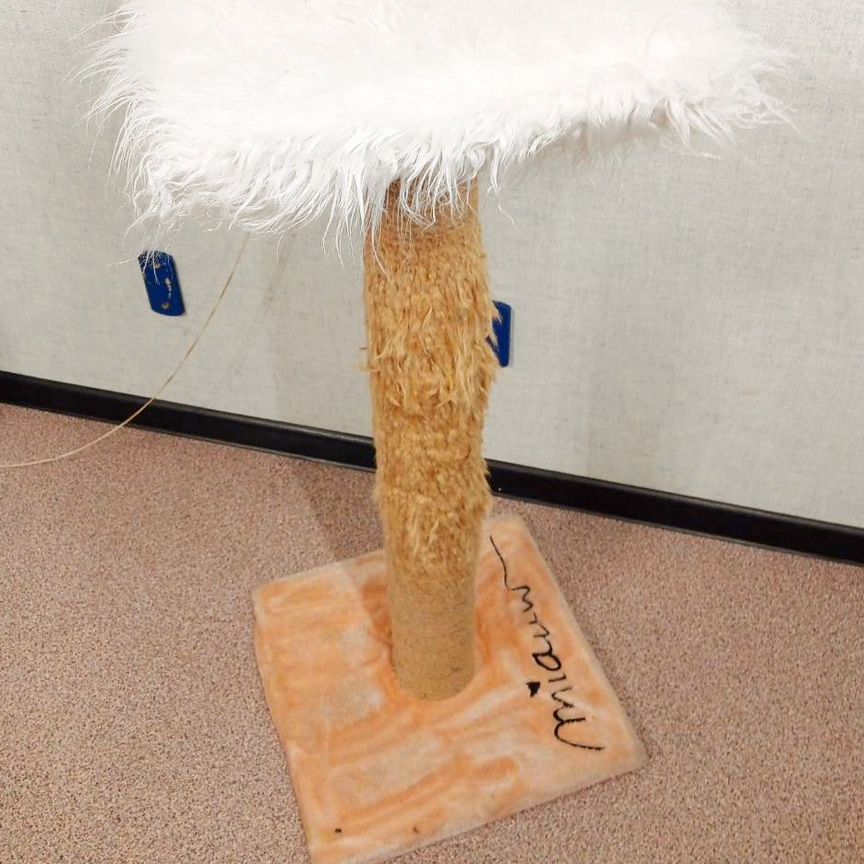 Когтеточка для кошек