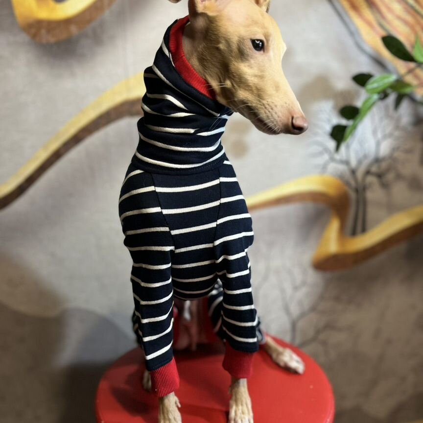 Комбинезон для левретки 39-41 размер Л